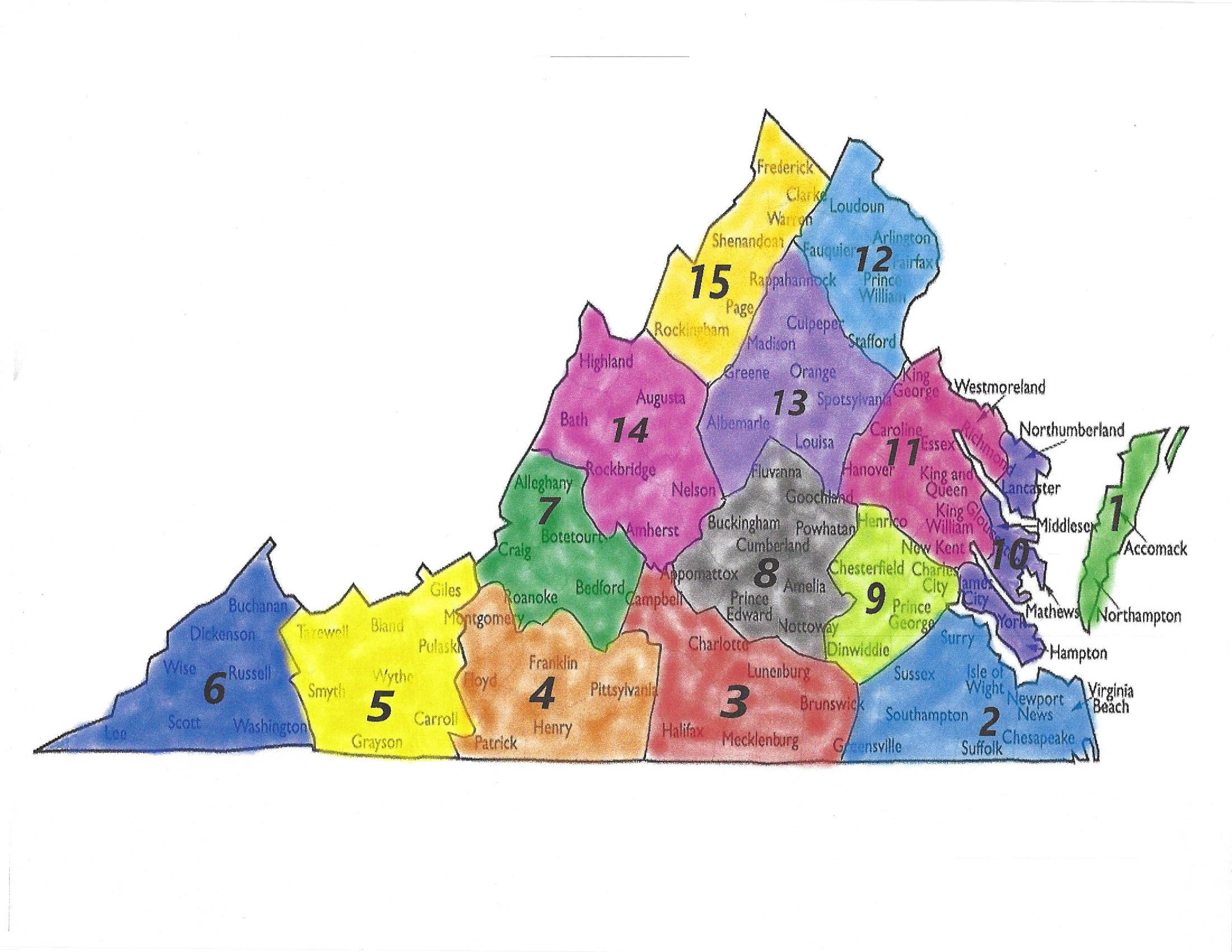 Executive Committee | VSFA