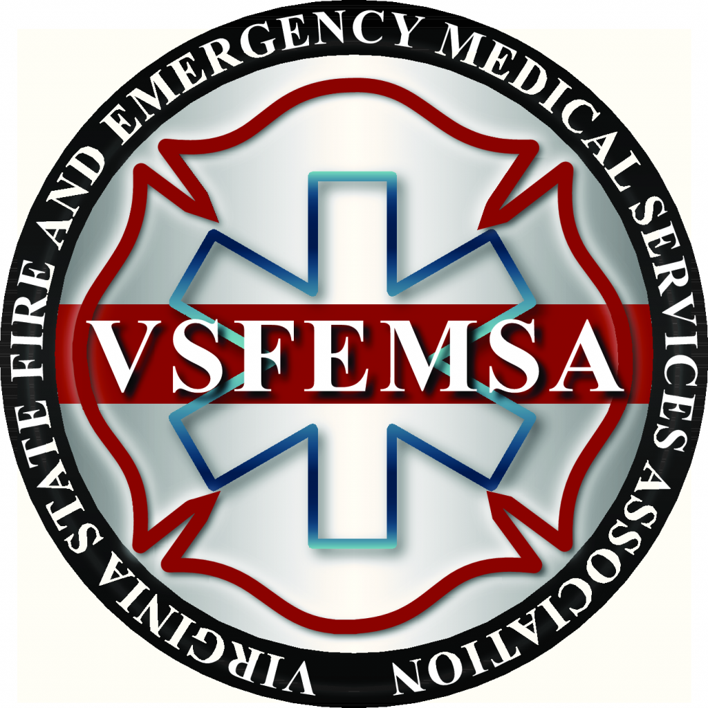 VSFEMSA (Foundation) | VSFA